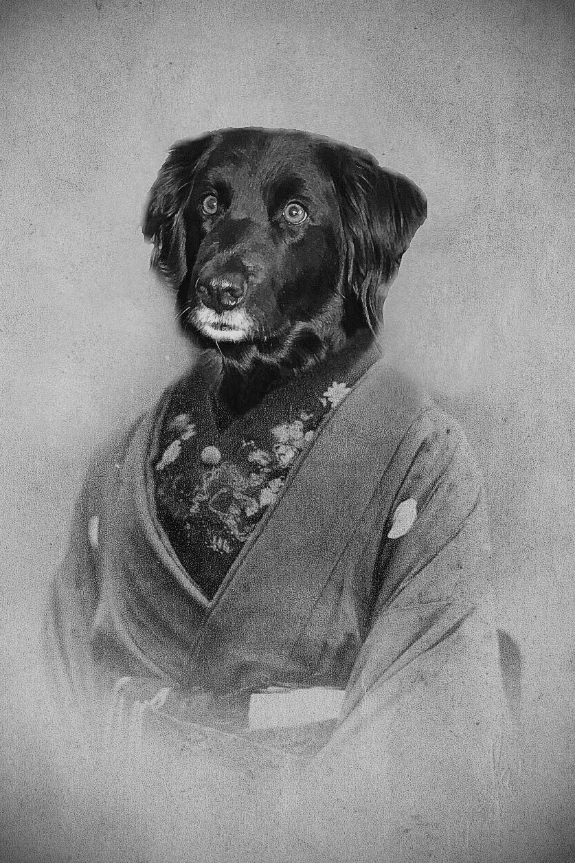 "Geisha" Pet Portrait – Luciblue